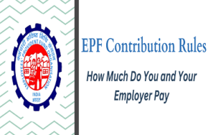 EPF Contribution Rules: How Much Do You and Your Employer Pay?